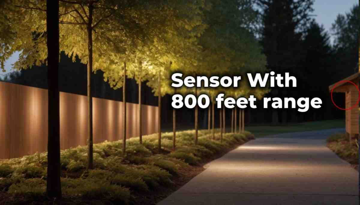 Don’t Let Intruders Slip By! Discover How Driveway Alarms Catch Every Move!